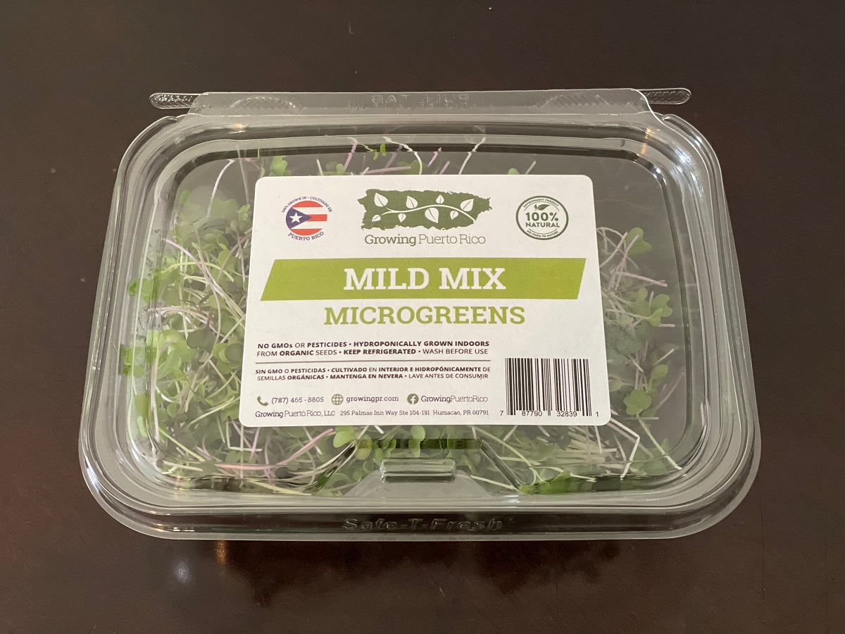Mild Mix Microgreens – Growing Puerto Rico